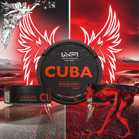 𝐆𝐀𝐋𝐄𝐑𝐈𝐉𝐀 🎨 – SnusBiH