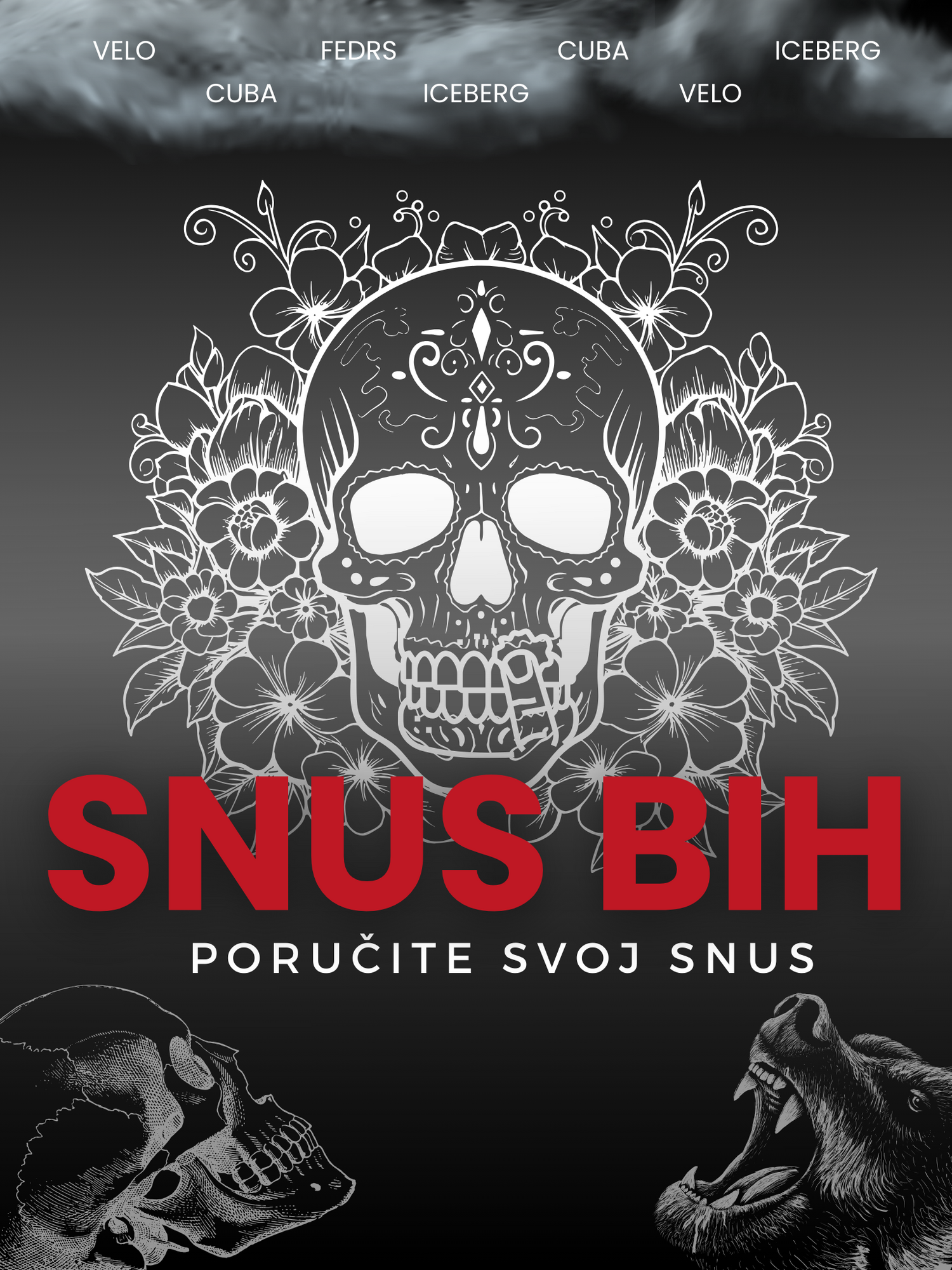 SnusBiH